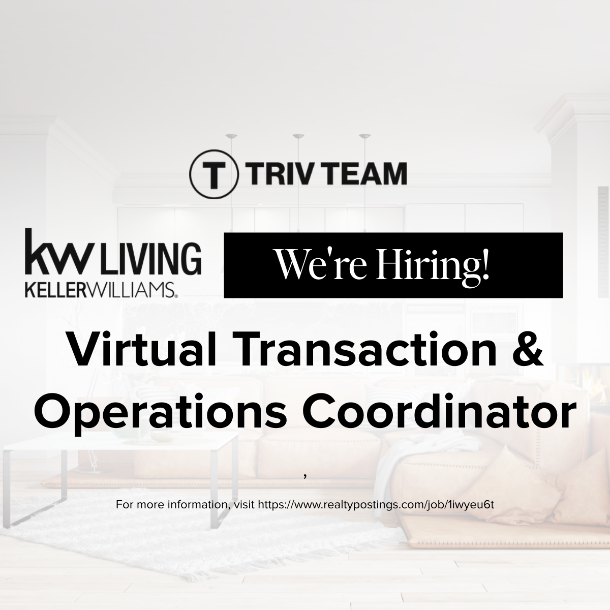 Triv Team Opportunity: Virtual Transaction & Operations Coordinator in ...